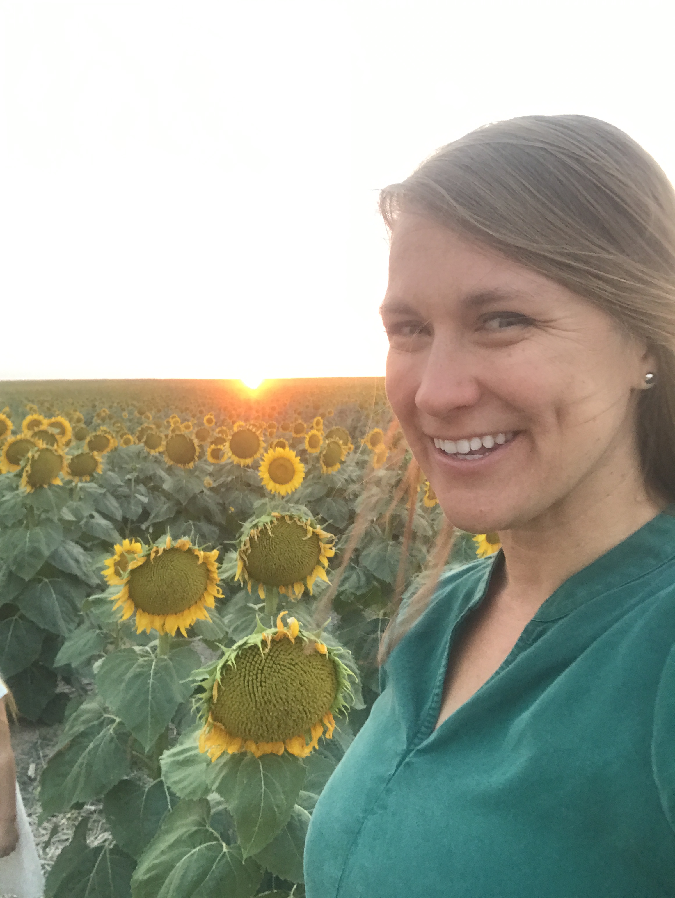 About My Schmidt – schmidtbyamanda